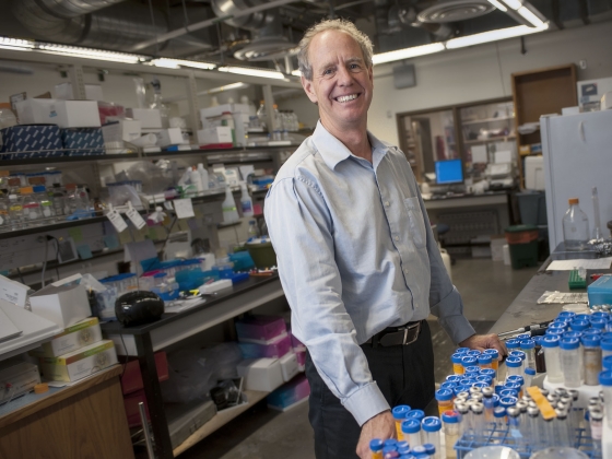 Mark Young | Synthetic Viruses, The Beginnings of Life, and Yellowstone ...